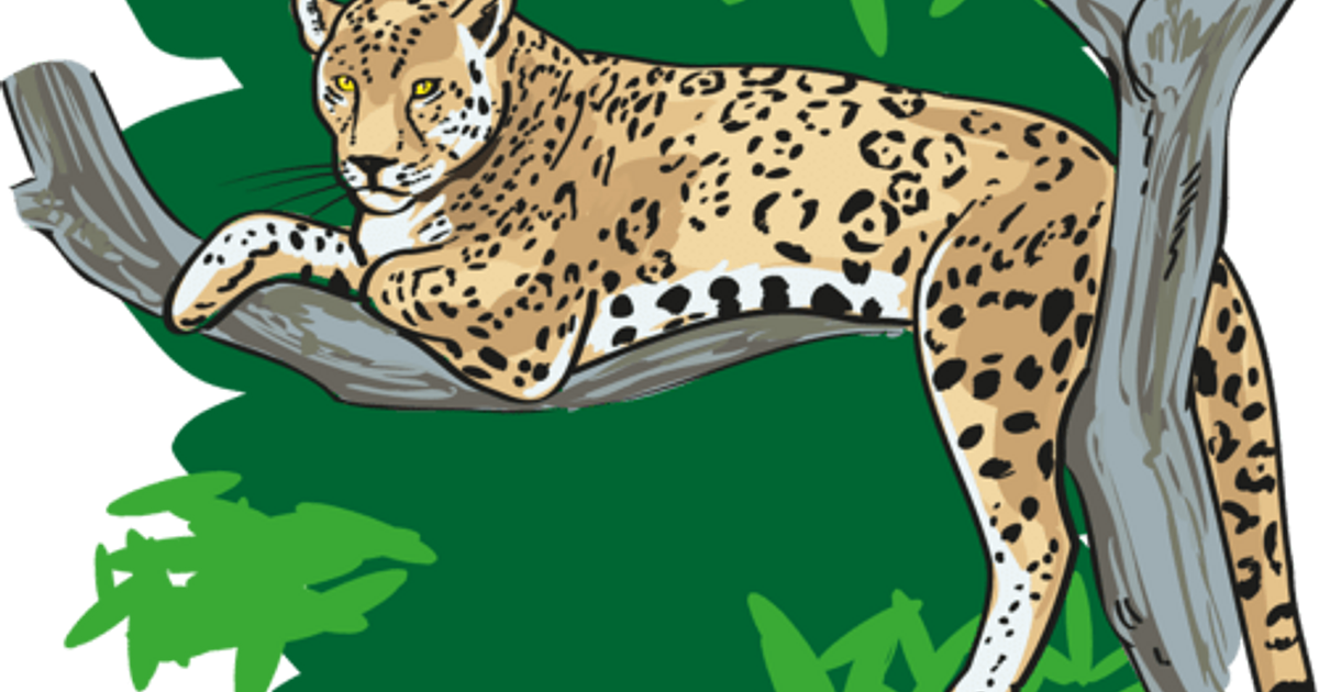 Jaguar | wort.schule